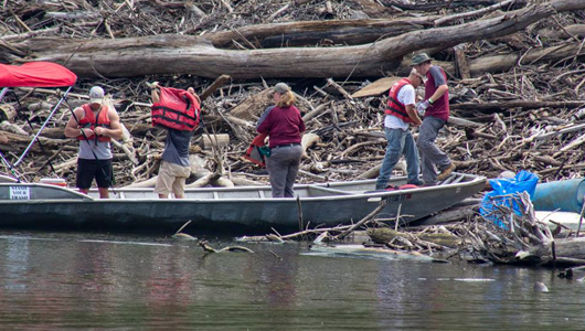 Stream Clean Up Opportunities - Metropolitan St. Louis Sewer District